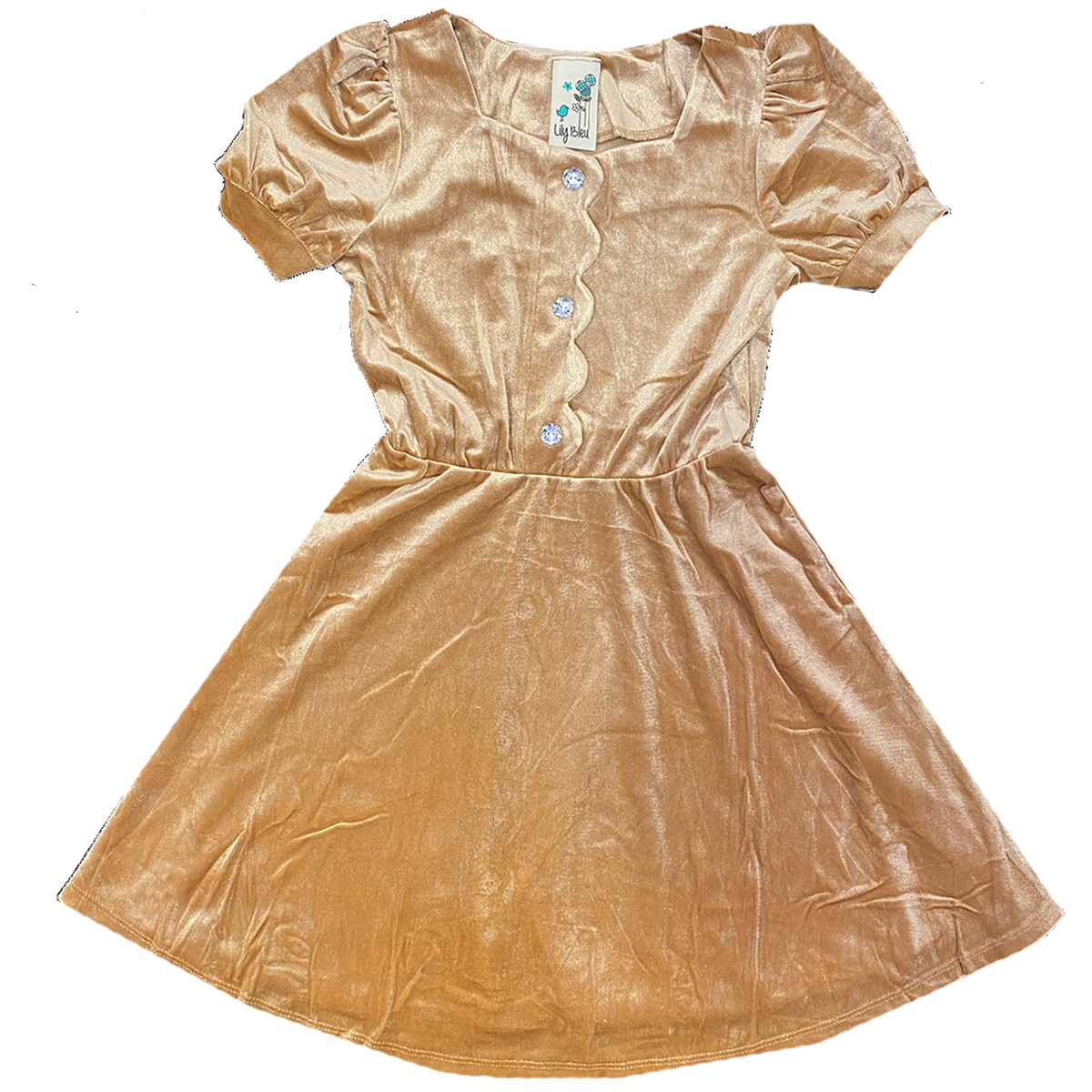 Peony Champagne Velvet Dress – Lily Bleu